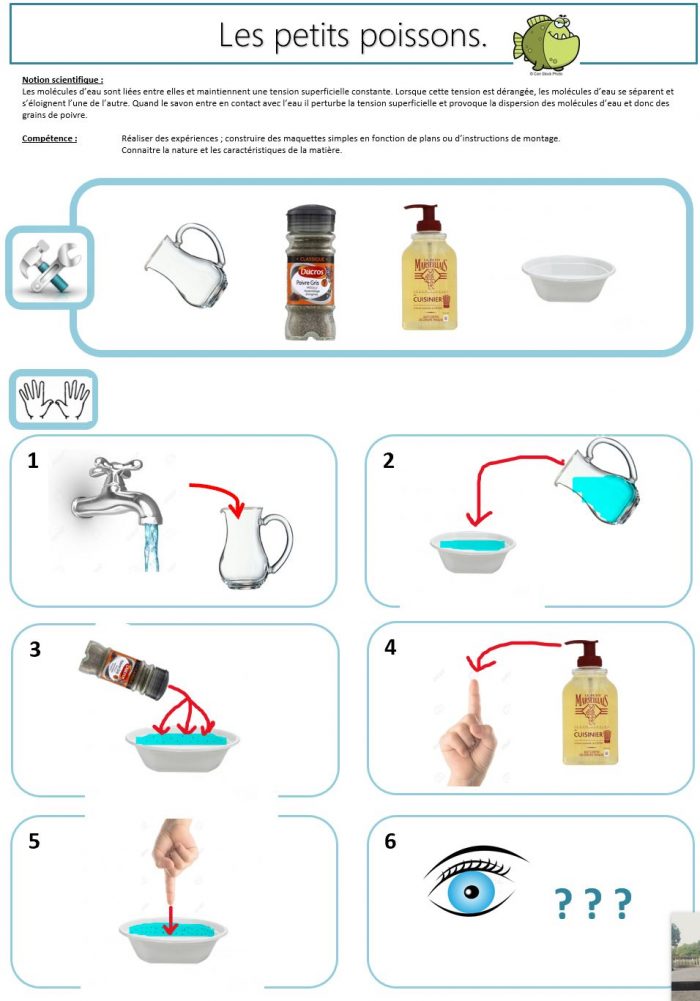 Ateliers autonomes de science en maternelle - Eckol