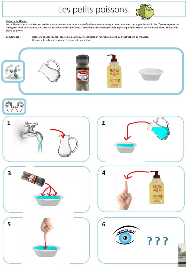Ateliers autonomes de science en maternelle - Eckol